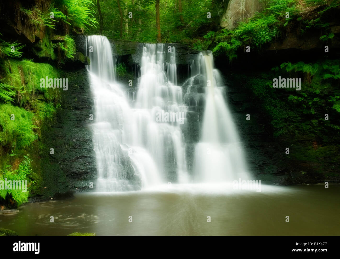 Harden bradford hi-res stock photography and images - Alamy