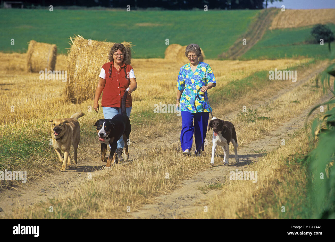 Woman three dogs hi-res stock photography and images - Alamy
