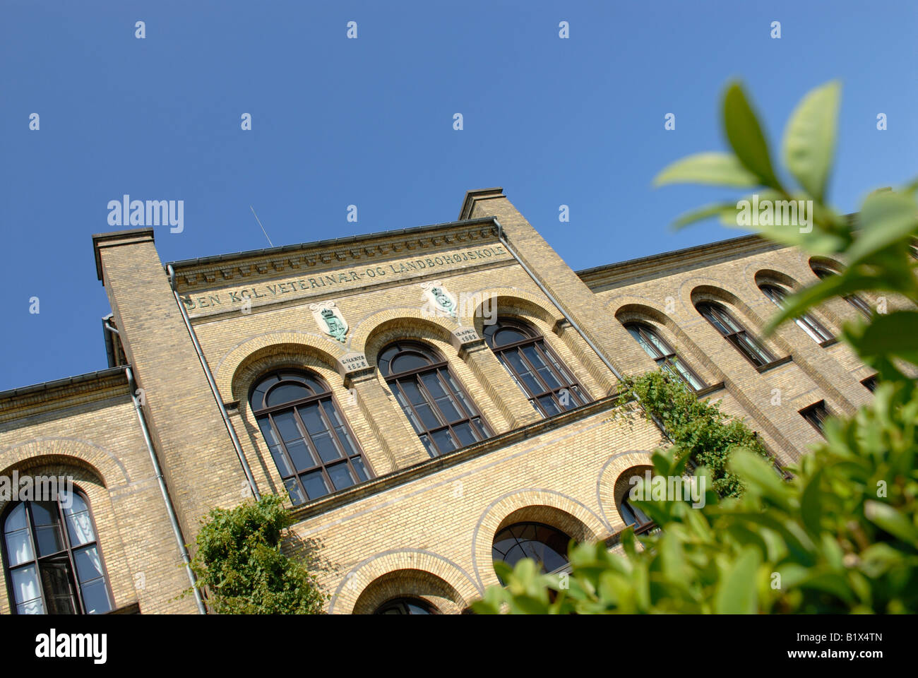 OLD UNIVERSITY CAMPUS Stock Photo - Alamy