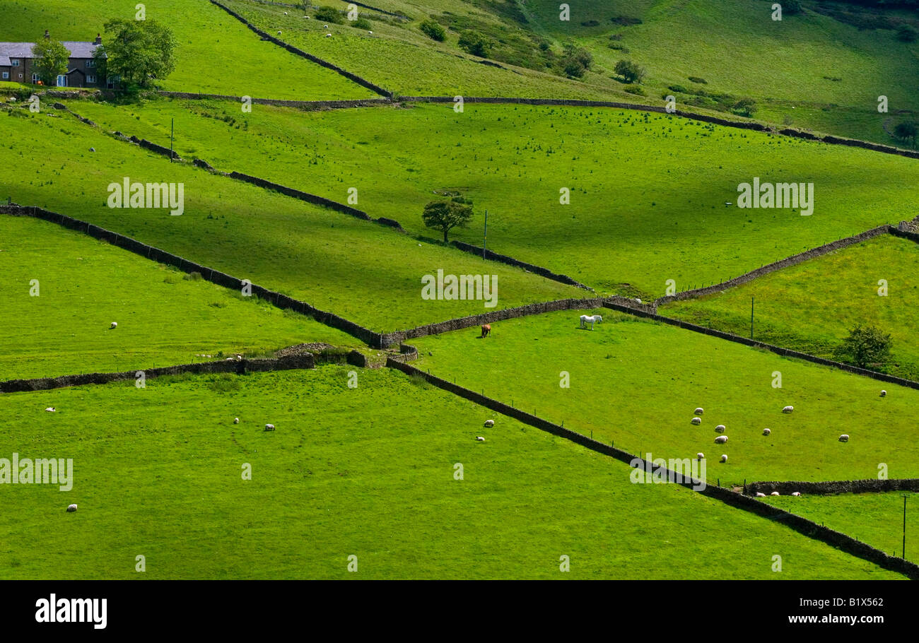 View of patchwork of fields near Tegg's Nose Country Park Macclesfield Cheshire in the Peak ...