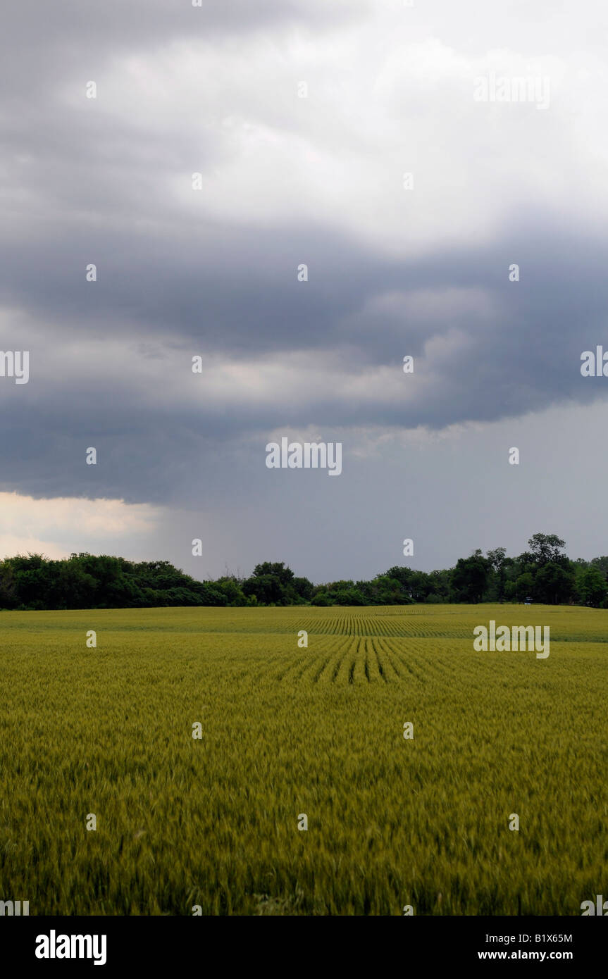 Thunderstorm Over A Farm High Resolution Stock Photography and Images ...