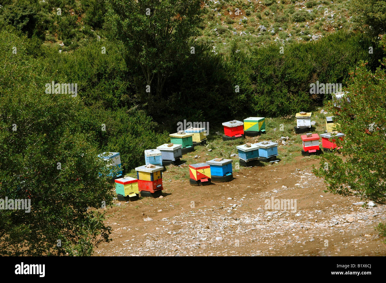 Crete honey beehive hi-res stock photography and images - Alamy