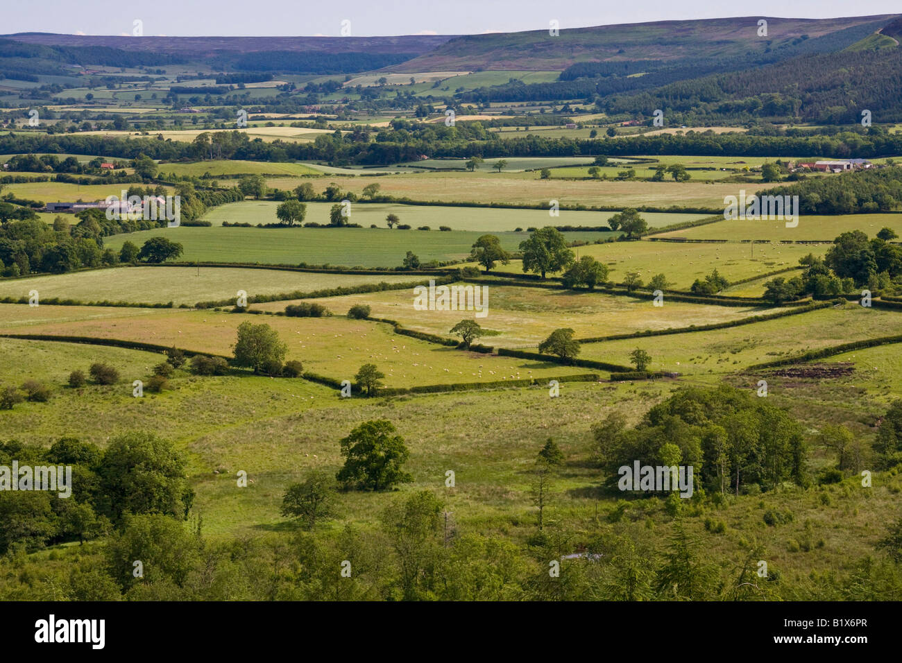 Looking east from Clay Bank over Yorkshire farmland to the Cleveland ...