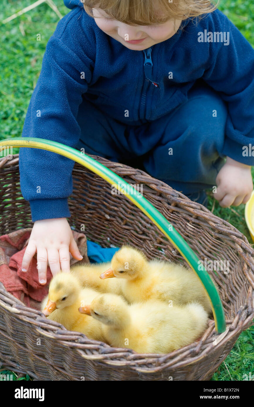 Boy playing with birds hi-res stock photography and images - Alamy