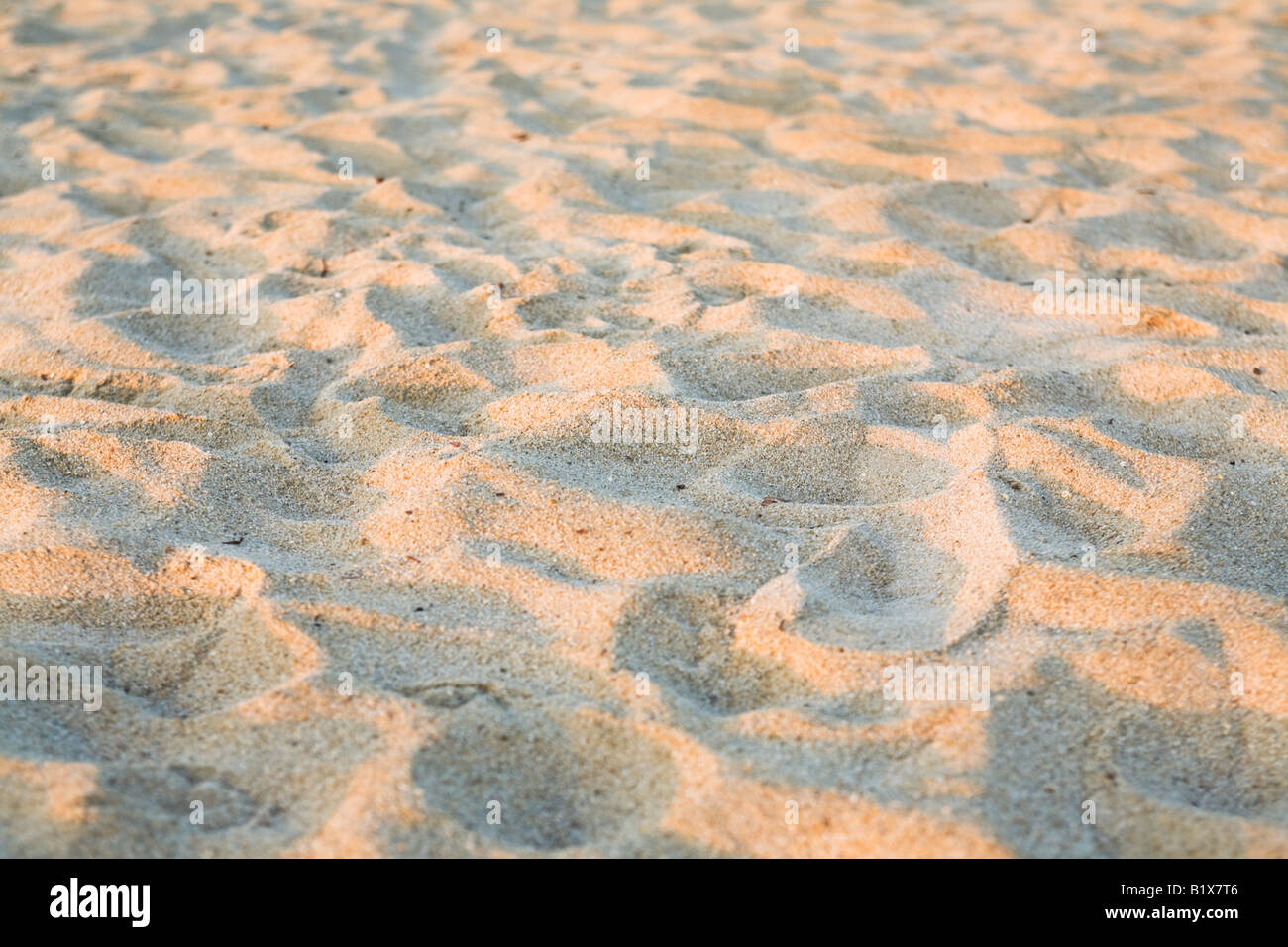 Sandy shore texture hi-res stock photography and images - Alamy