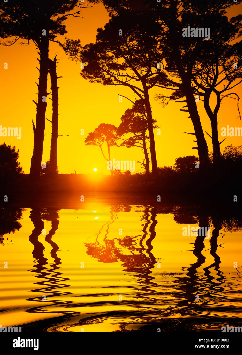 sunset reflected in lake in Northern California USA Stock Photo - Alamy