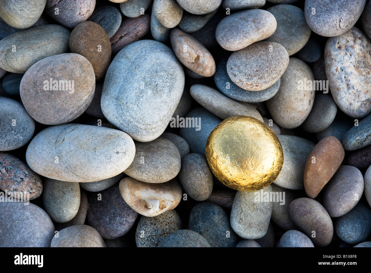 Golden round pebble amongst pebbles on a beach. Findhorn beach, Moray ...