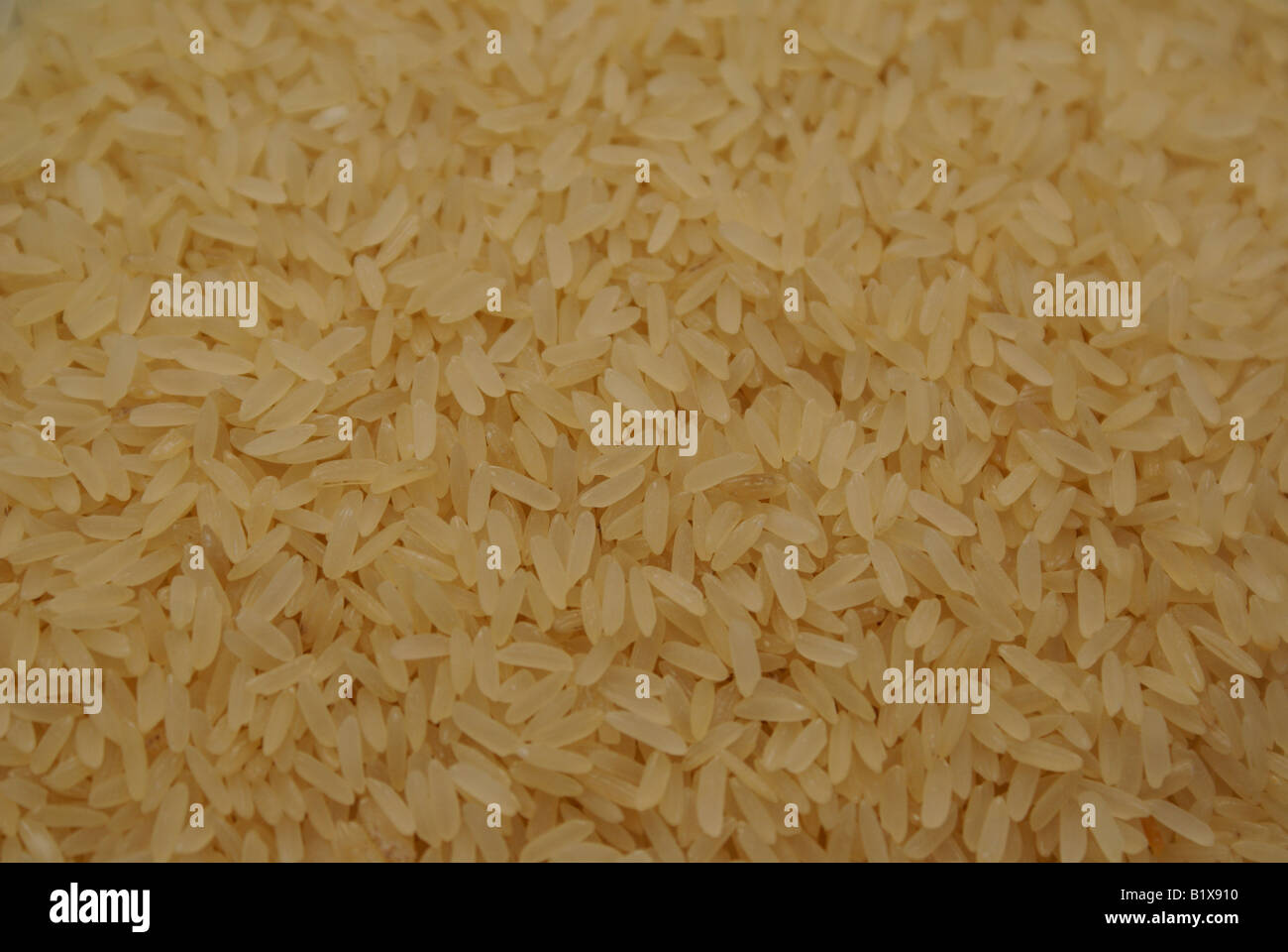 Eat cereal grains hi-res stock photography and images - Alamy