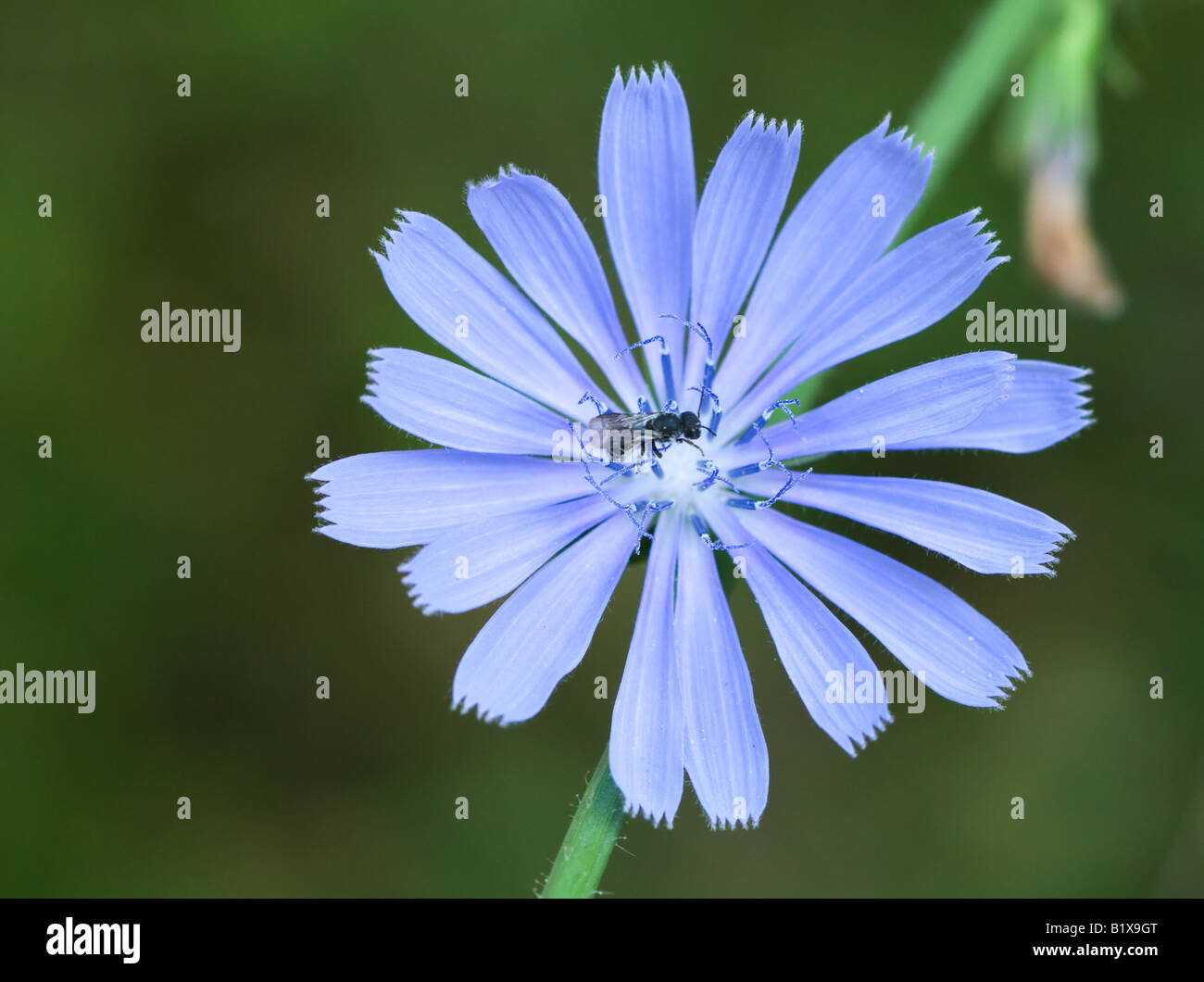 Sweat weed hi-res stock photography and images - Alamy