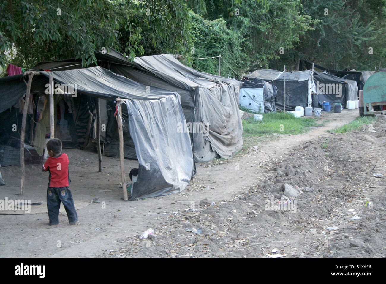 Mexican shack hi-res stock photography and images - Alamy