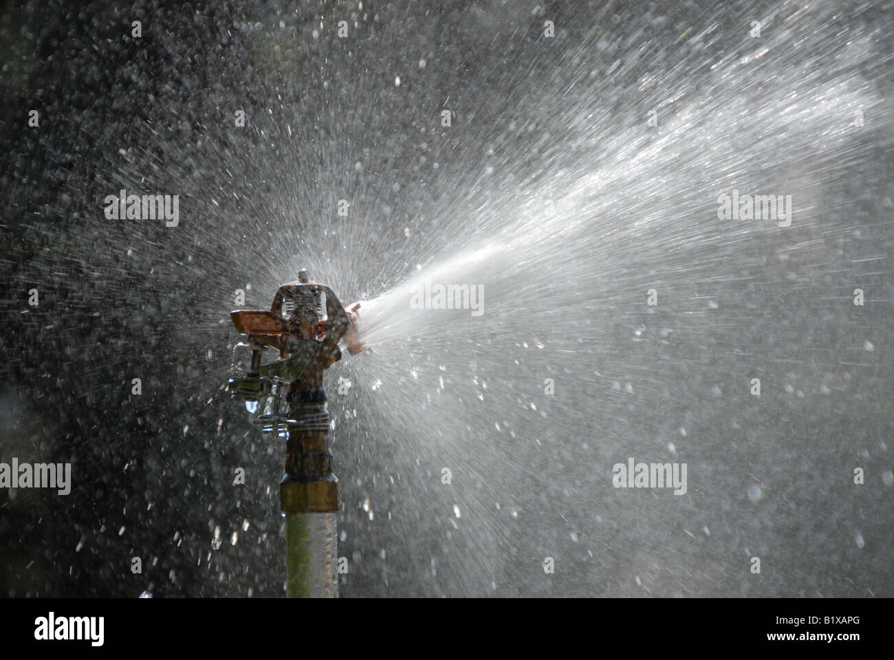 Watering machine pouring grass plot by water drops Stock Photo - Alamy