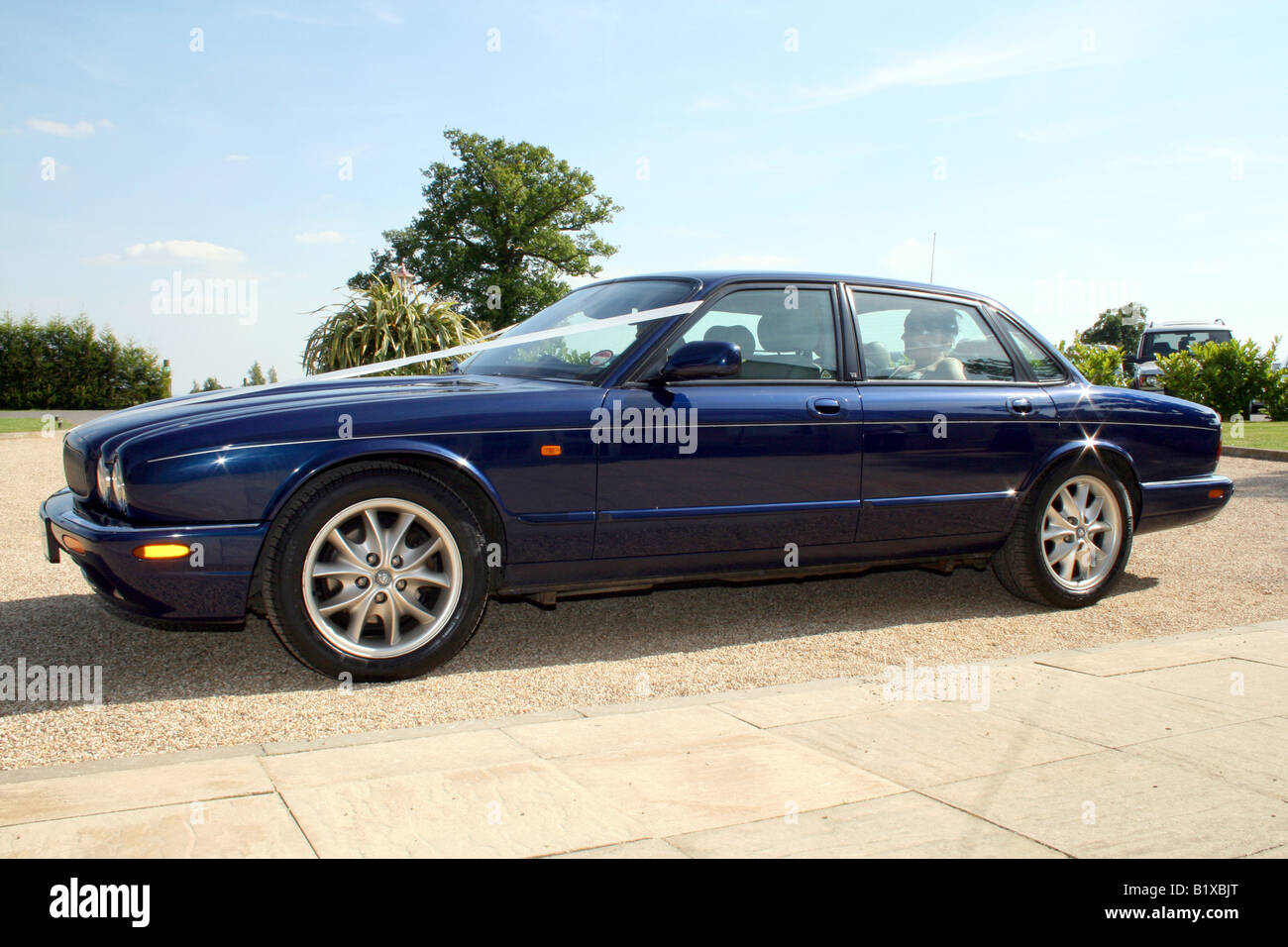 Wedding car- blue jaguar with ribbon Stock Photo - Alamy