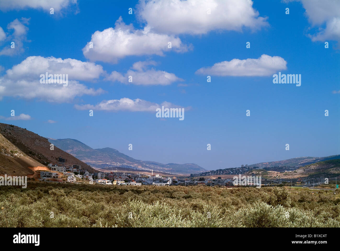 beit Hakerem valley view from west to east with olive plantations and ...