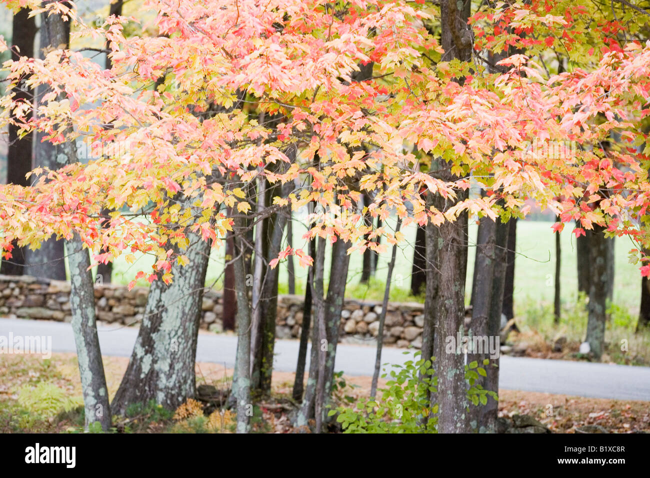 Northwood road hi-res stock photography and images - Alamy