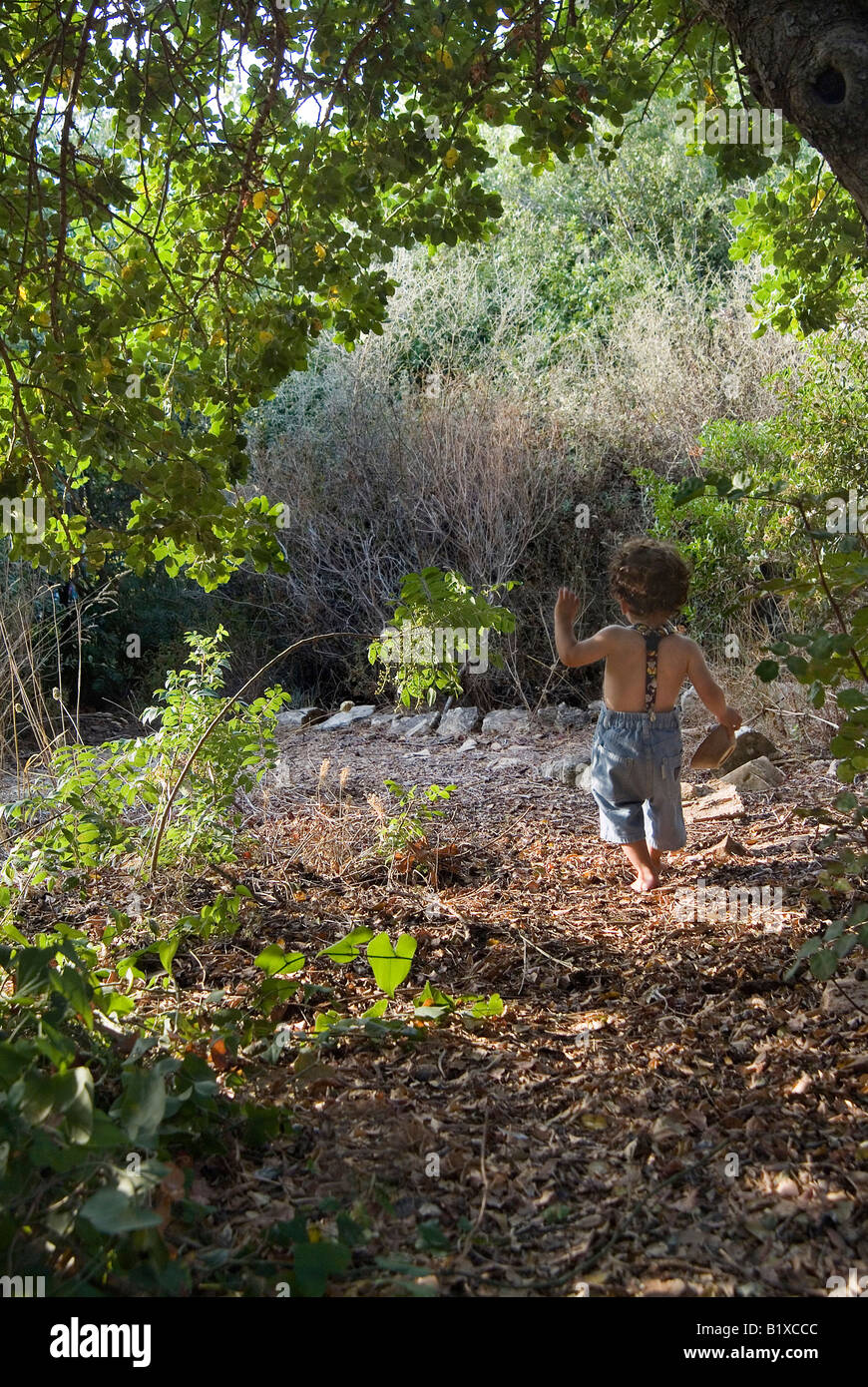 Pathway going under hi-res stock photography and images - Alamy