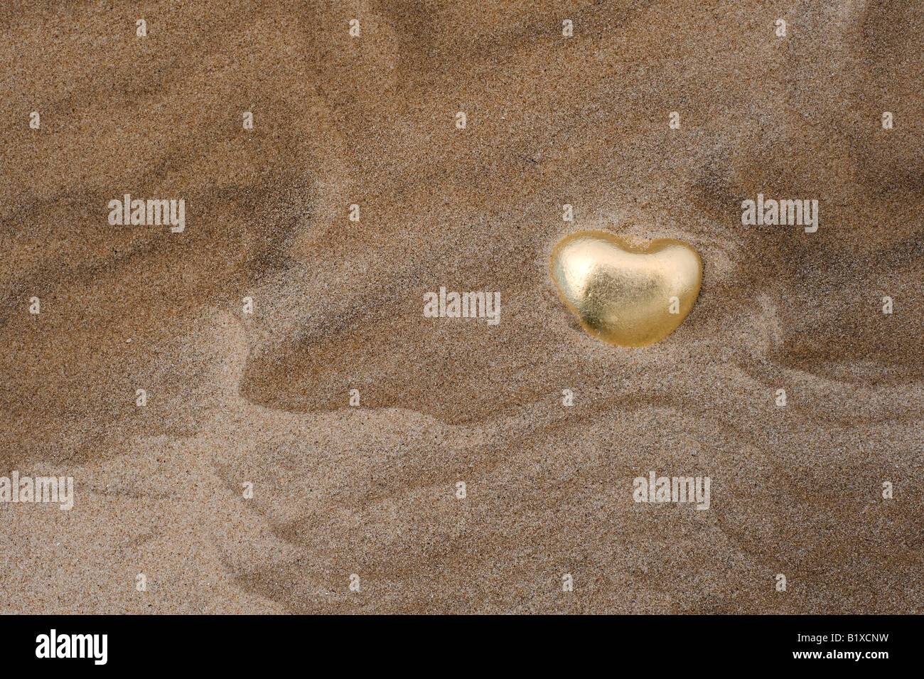 Gold heart shaped pebble on Findhorn beach, Moray, Scotland Stock Photo ...