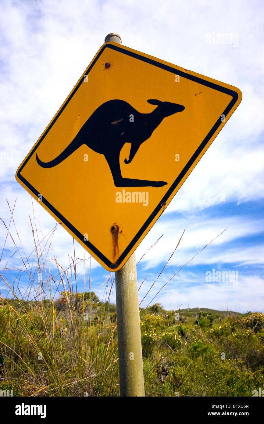 Australian road sign, showing a kangaroo Stock Photo - Alamy