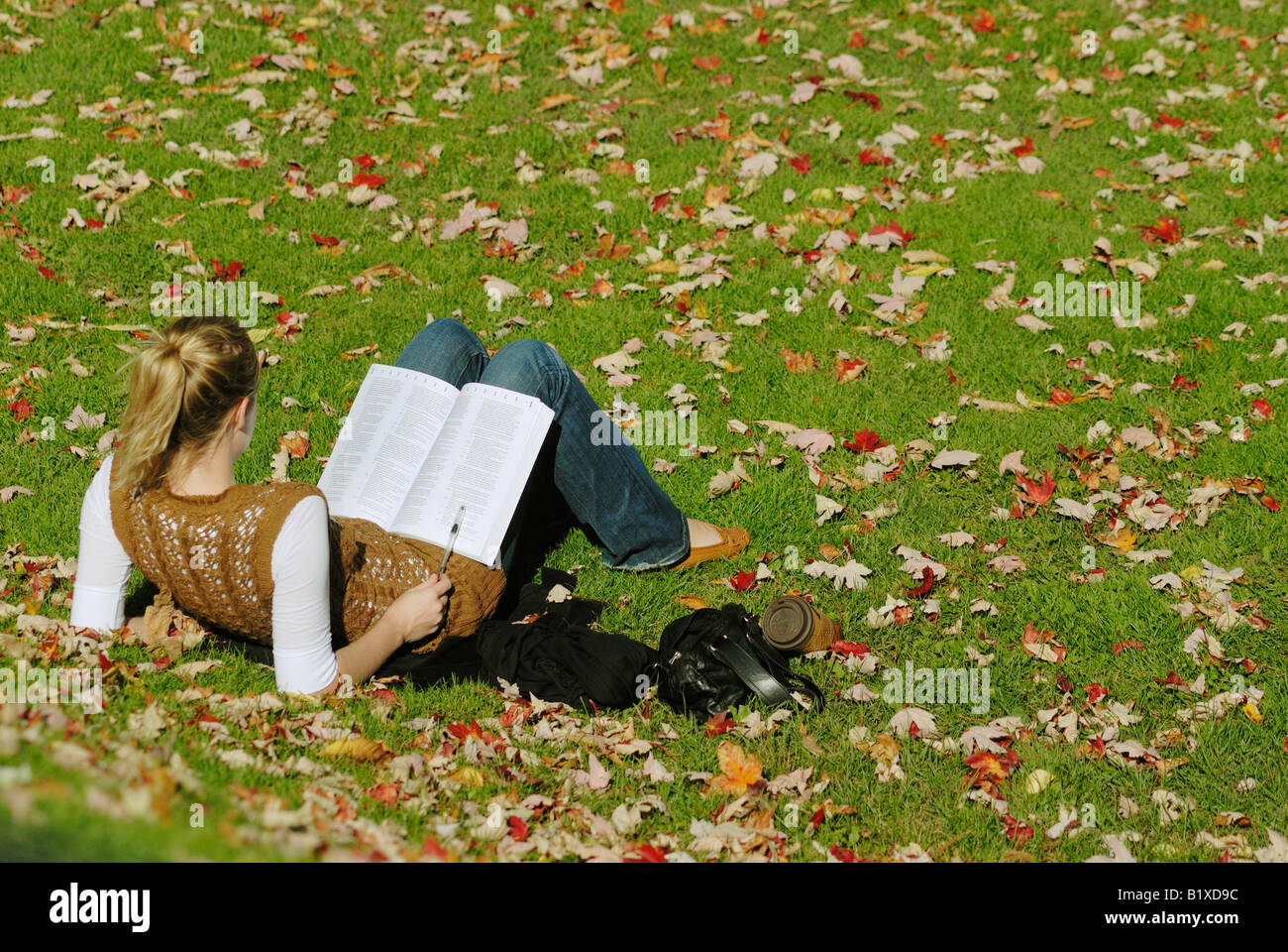Woman reading in nature hi-res stock photography and images - Alamy
