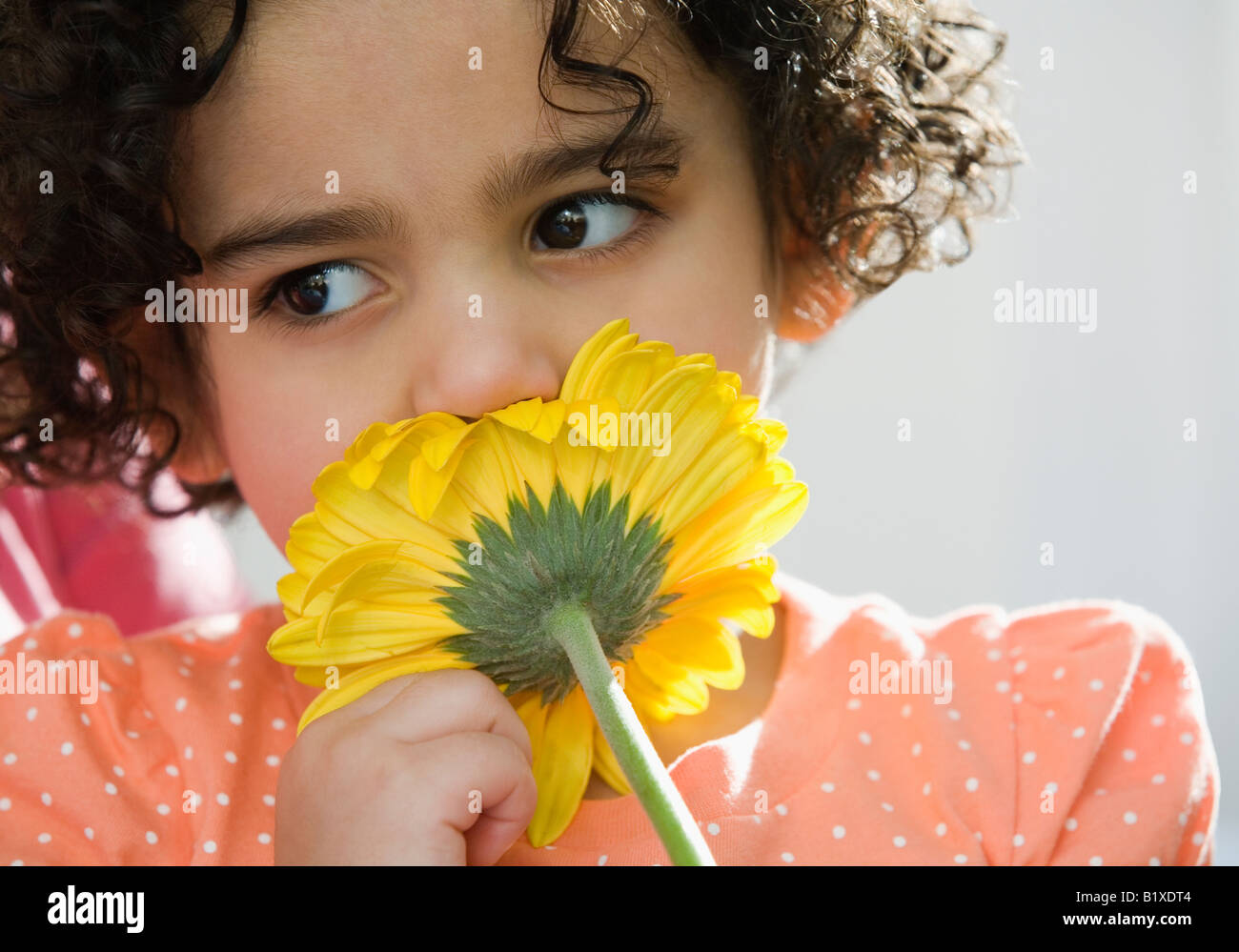 Close-up of a girl smelling a daisy flower Stock Photo - Alamy