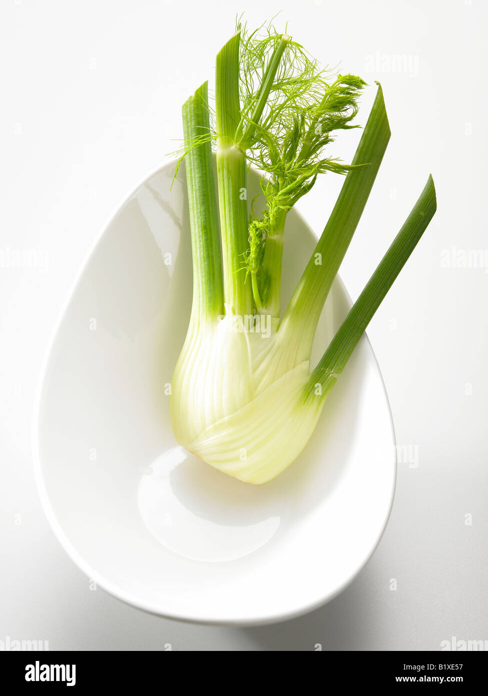 top view of fennel in bowl Stock Photo - Alamy
