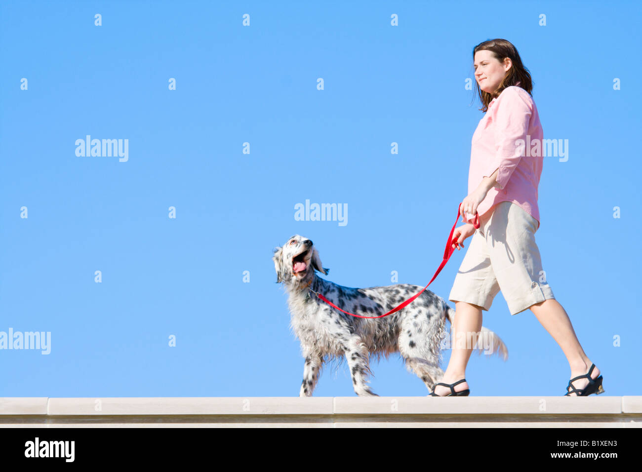 Walking with the dog Stock Photo - Alamy