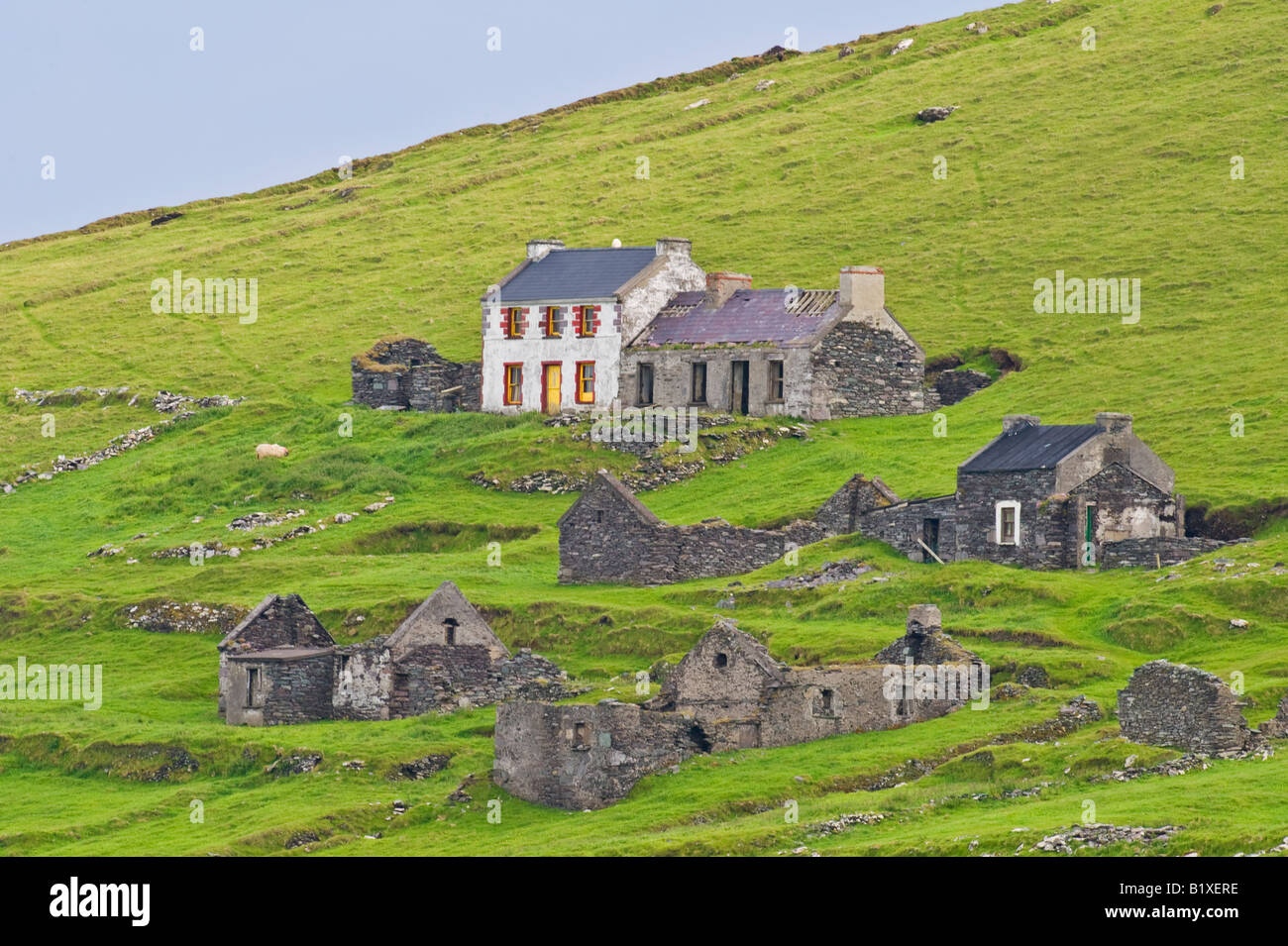 Great Blasket Island, County Kerry, Ireland Stock Photo - Alamy