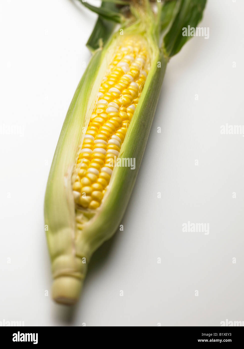 ear of corn Stock Photo - Alamy