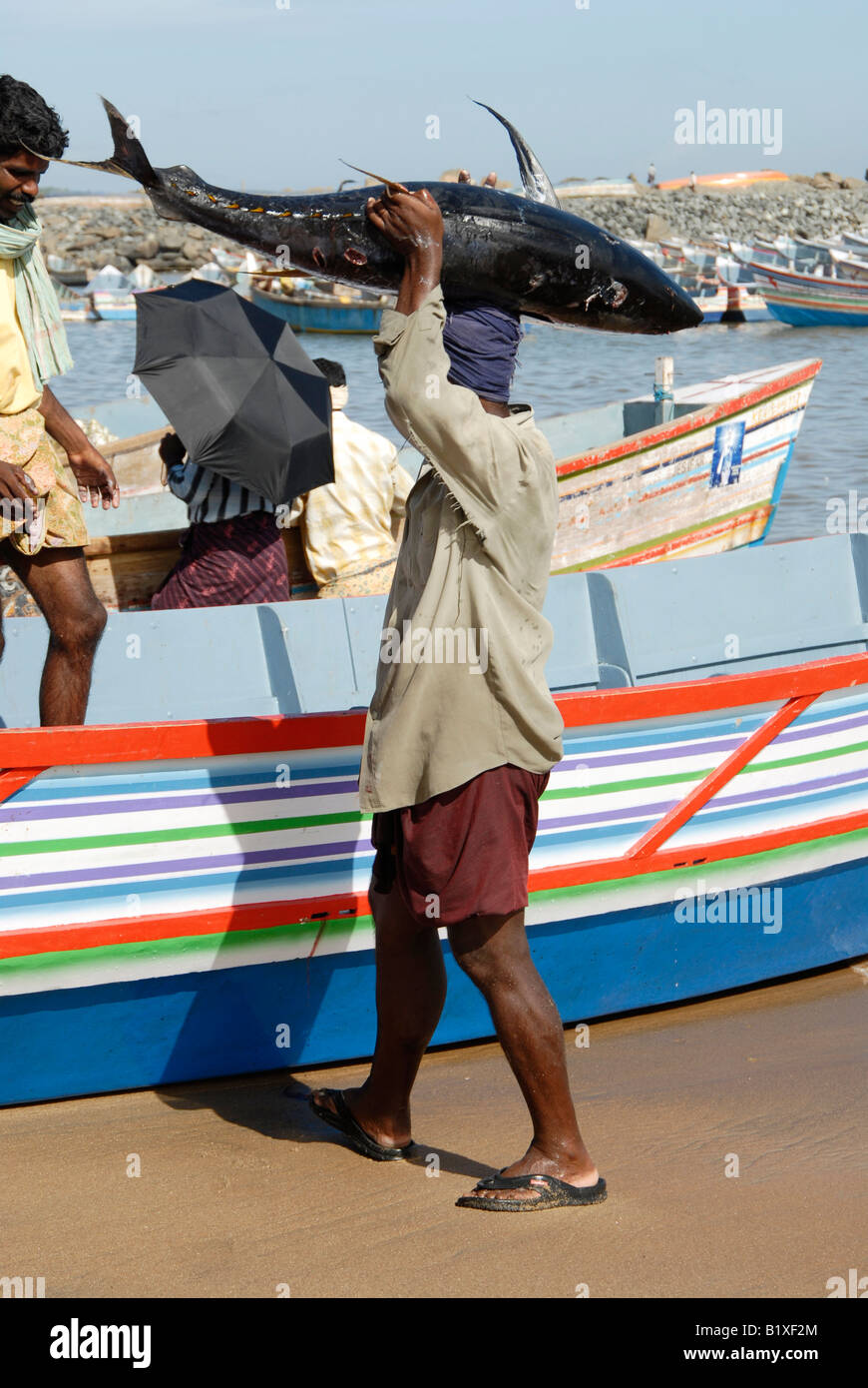 A fisherman carrying a big fish catch Stock Photo - Alamy