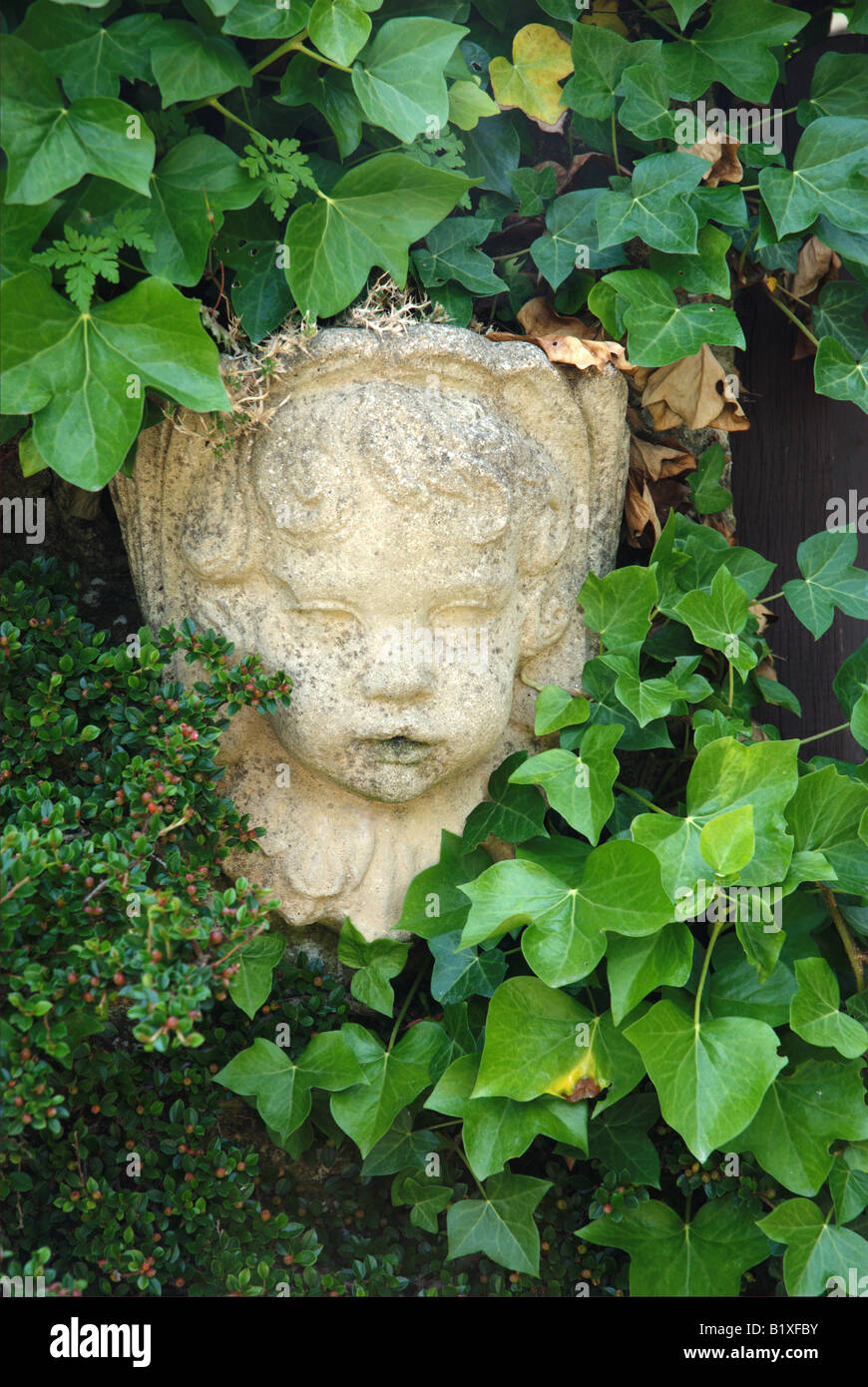 Carved child's face amongst ivy plants in a garden Stock Photo - Alamy