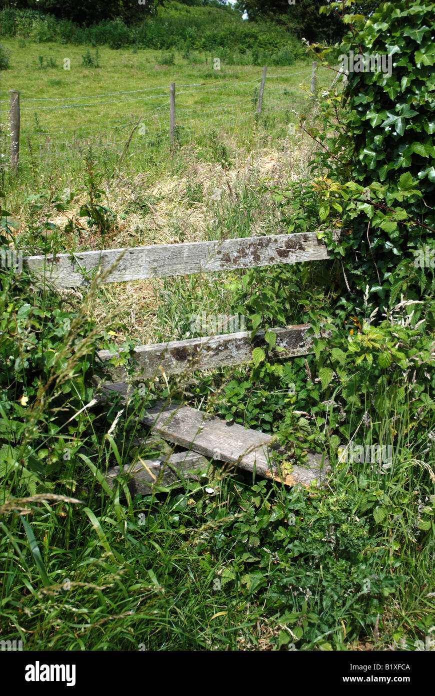 A stile in a field in summer Stock Photo - Alamy