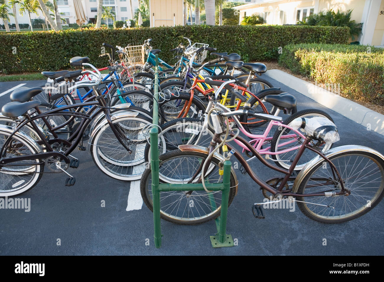 Bicycles parked in a parking lot Stock Photo - Alamy