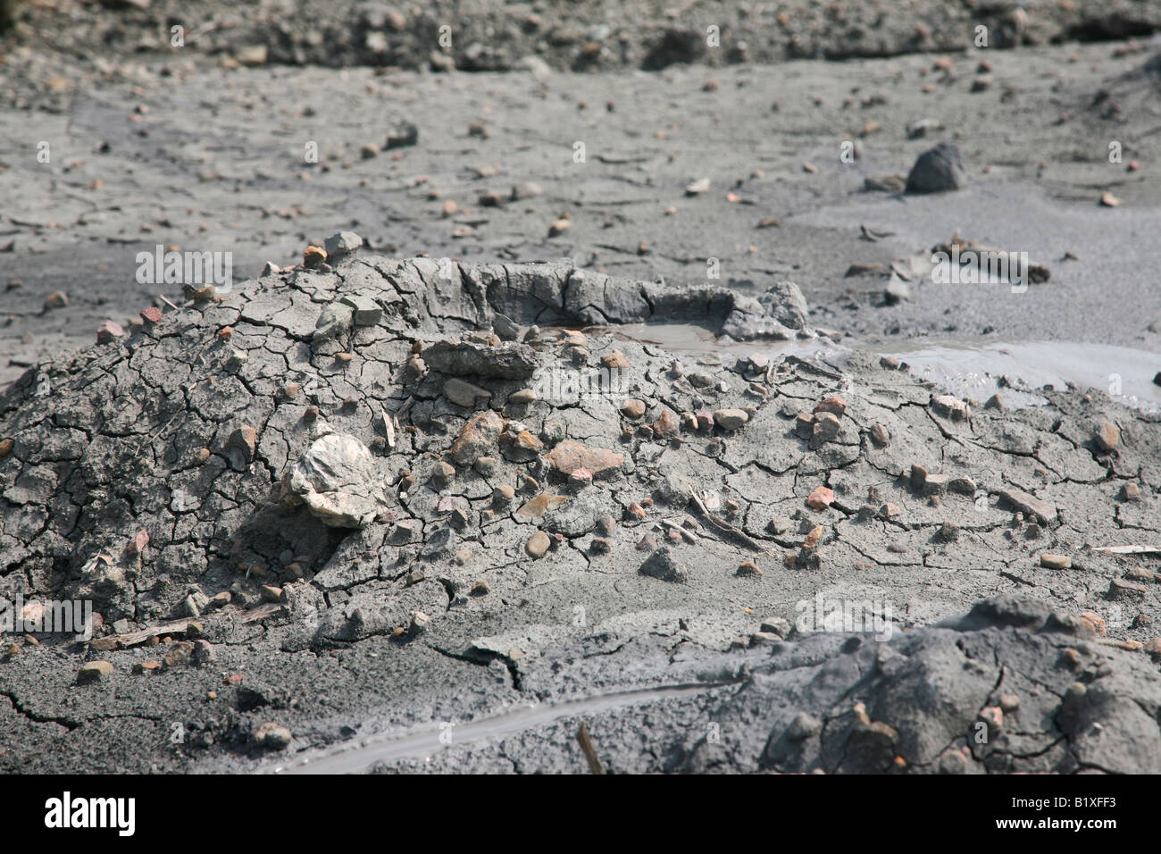 Mud volcano at baratang island,andaman,india Stock Photo - Alamy