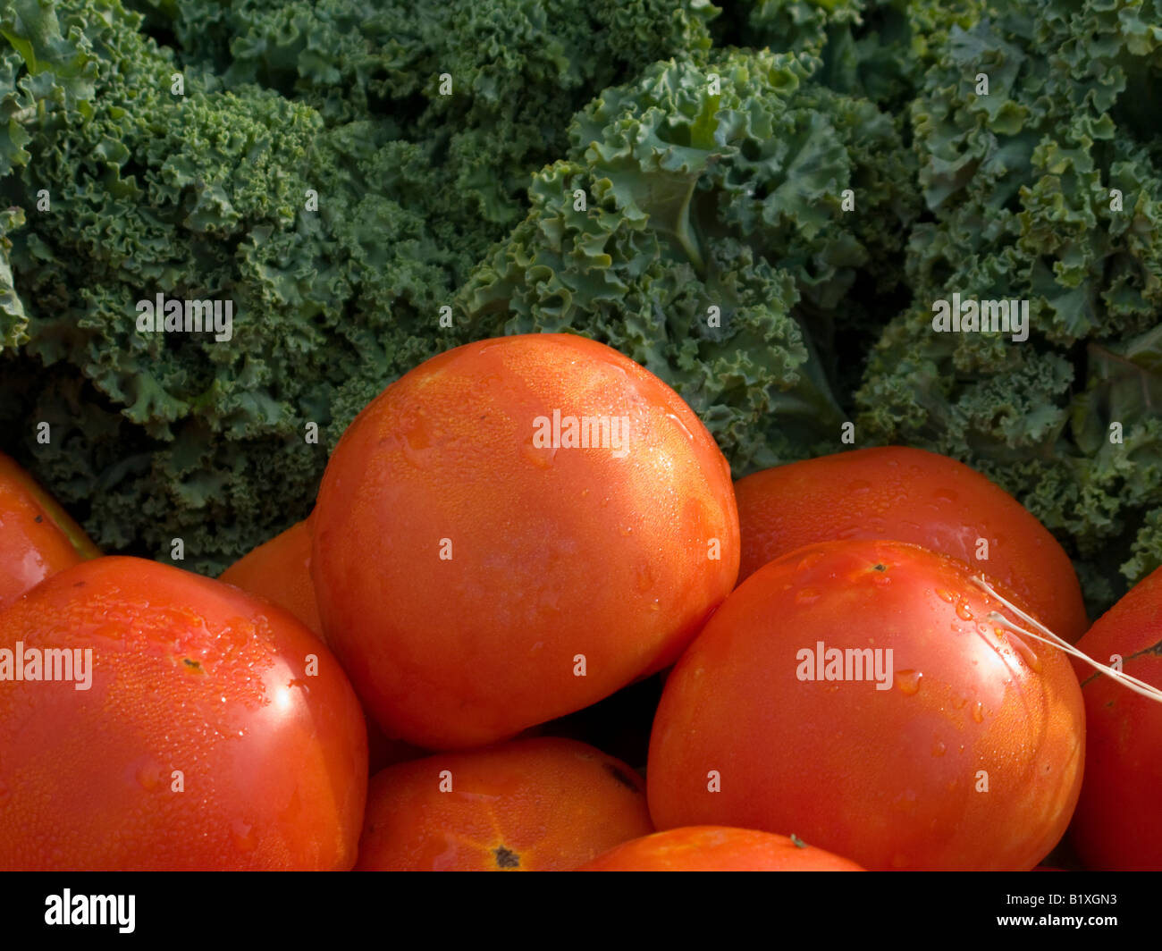 Bushel of tomatoes hi-res stock photography and images - Alamy
