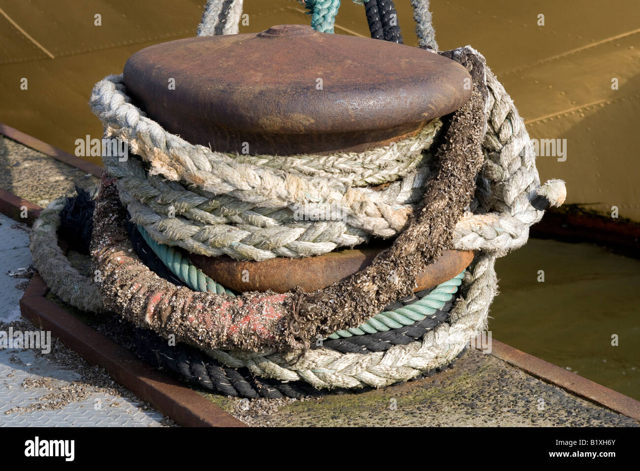 Ropes on dock Stock Photo - Alamy