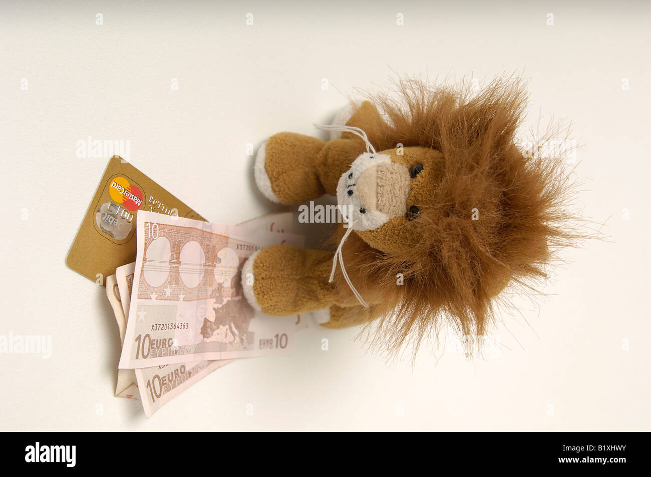 lion tiger animal holding three ten euro notes and a mastercard Stock ...