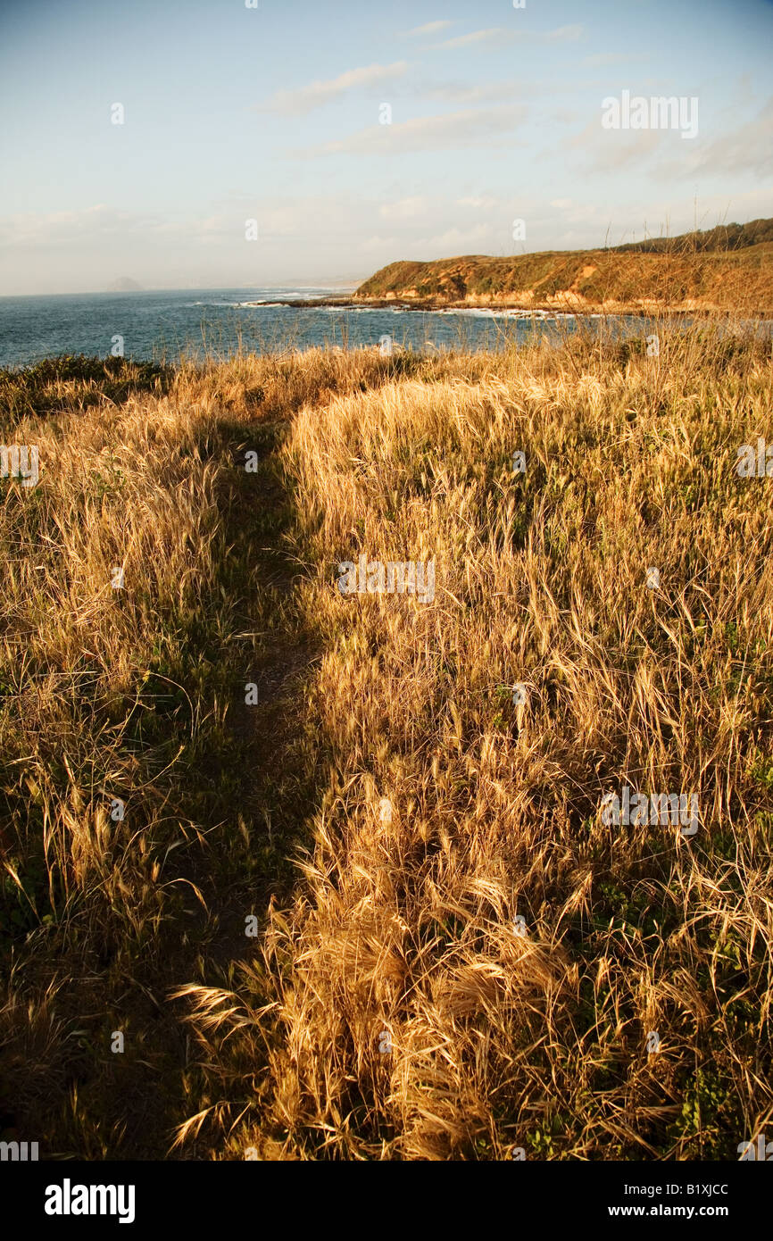 Hiking trail in Montana de Oro State Park Los Osos California Stock ...