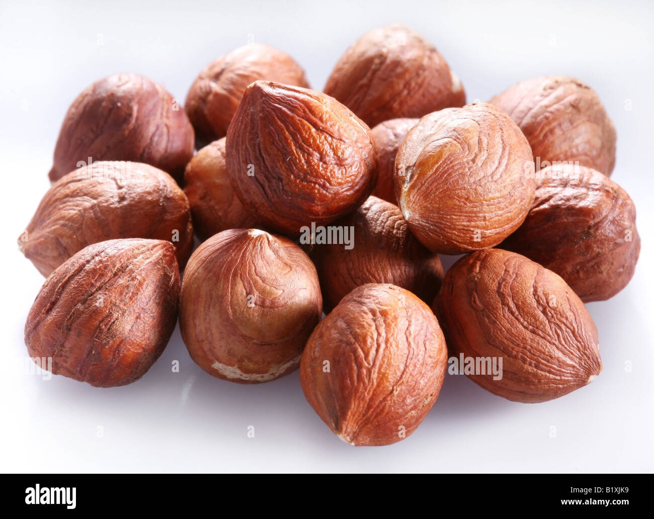 filbert Objects on white background Stock Photo - Alamy