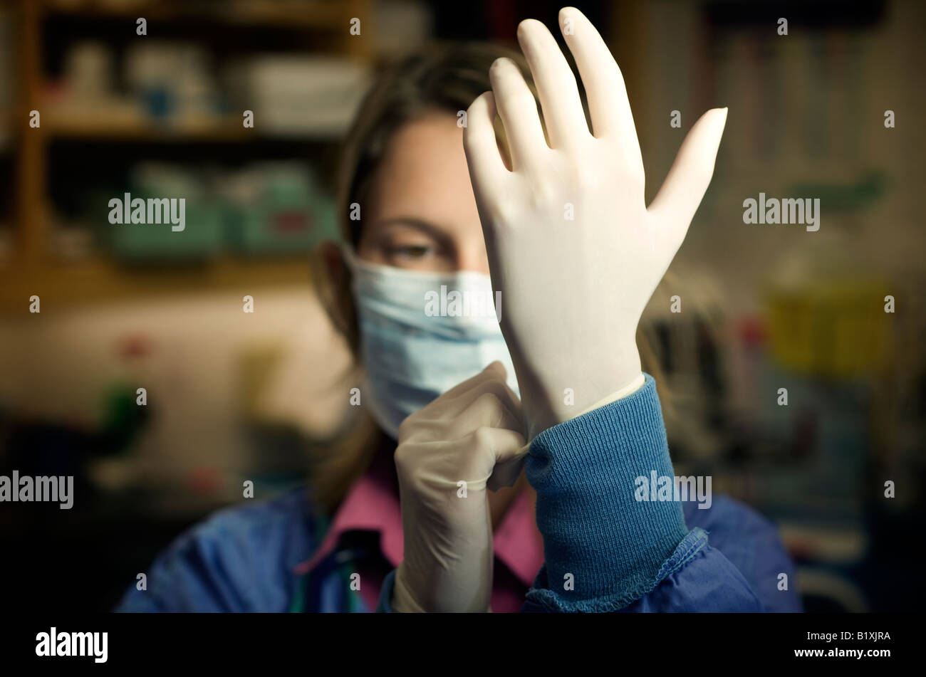 Female nurse in scrubs with face mask putting gloves on. Hospital ...