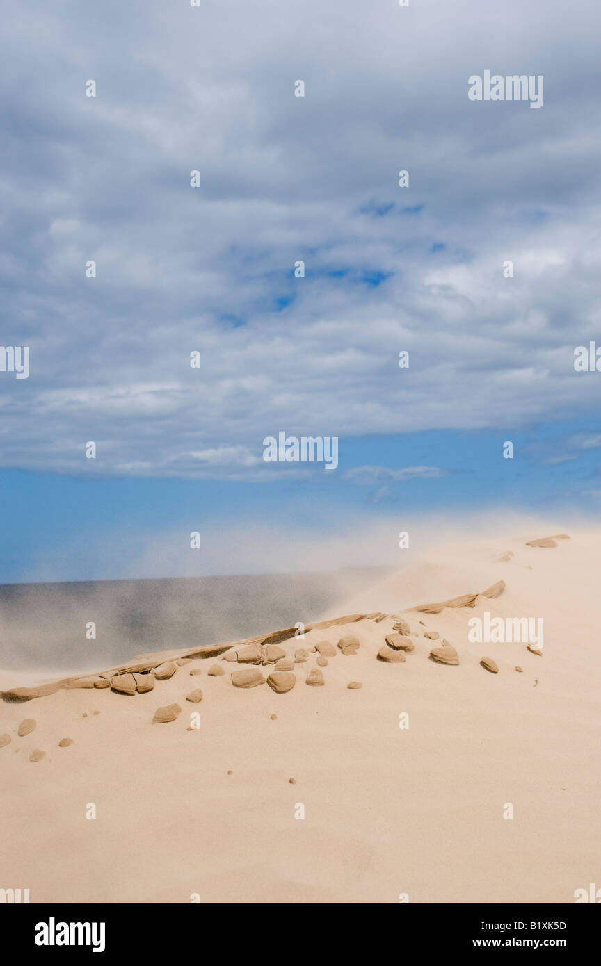 Blowing sand hi-res stock photography and images - Alamy