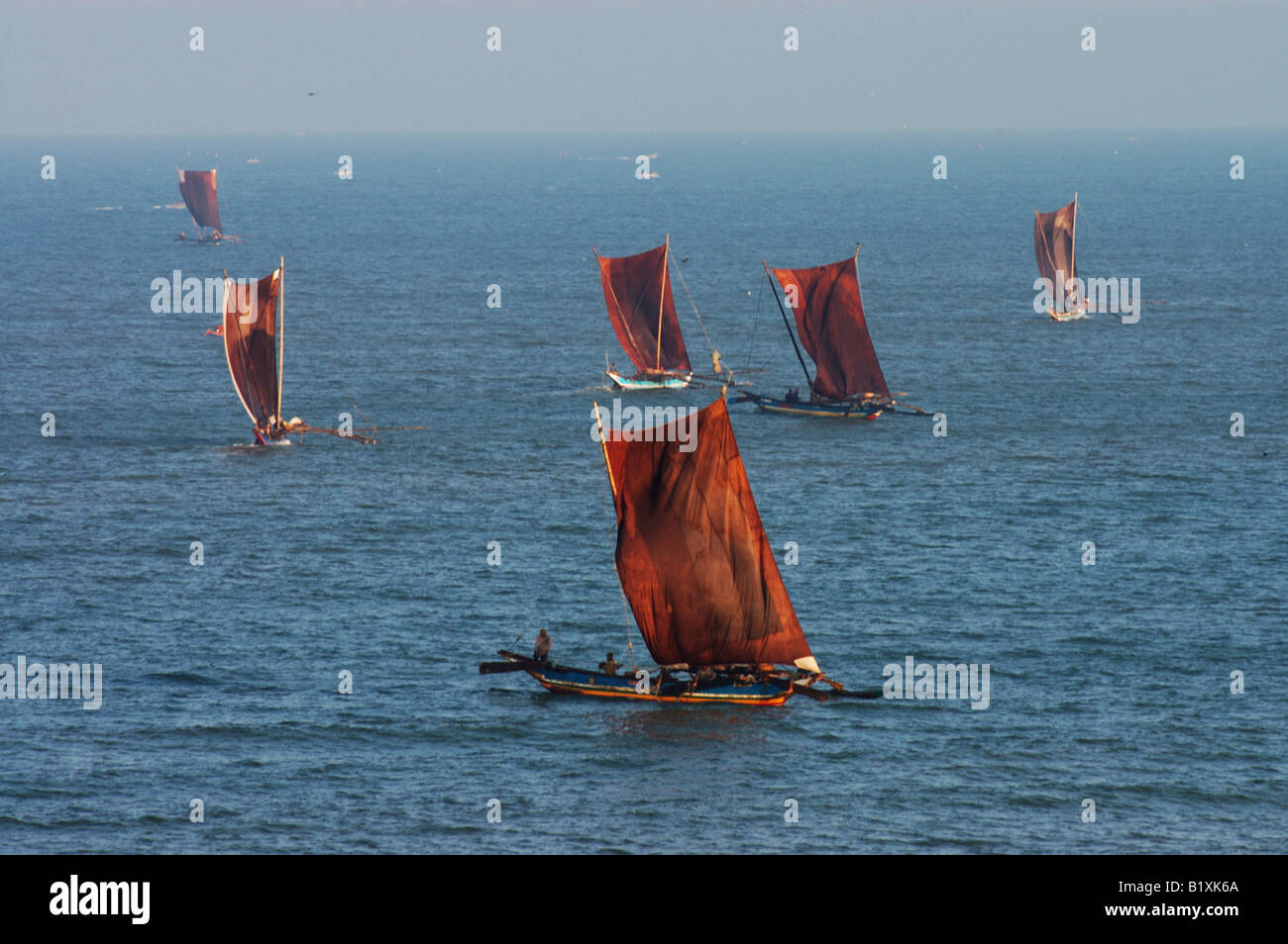 Catamaran sailing in sri lanka hi-res stock photography and images - Alamy