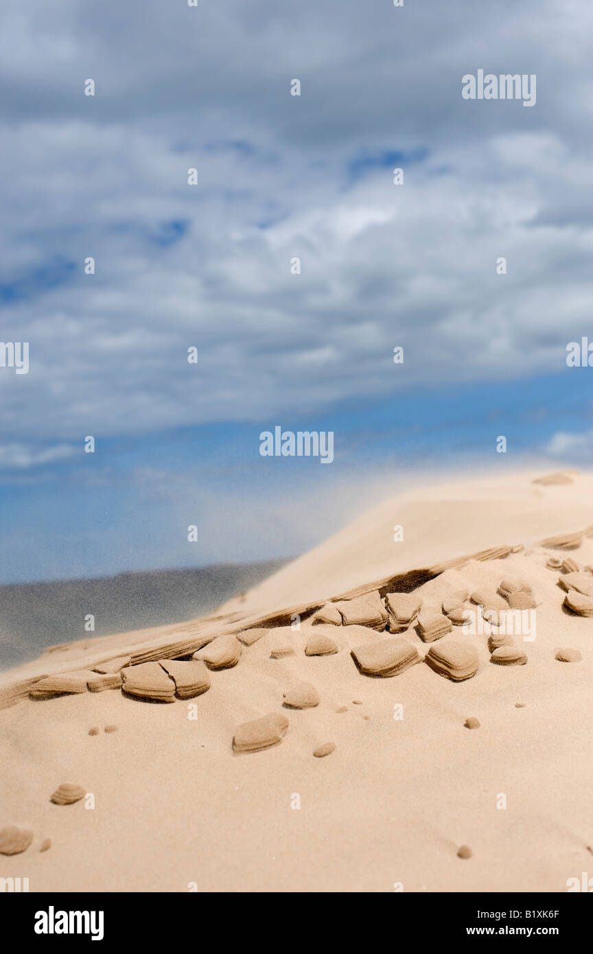 Blowing sand hi-res stock photography and images - Alamy