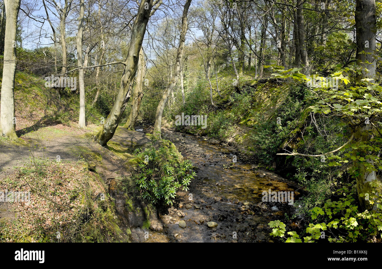 the pennine way grindsbrook edale peak district national park ...