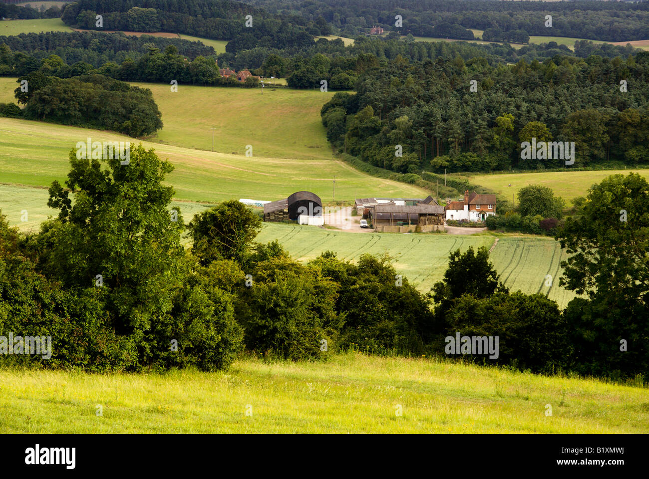 Surrey 2008 view hi-res stock photography and images - Alamy