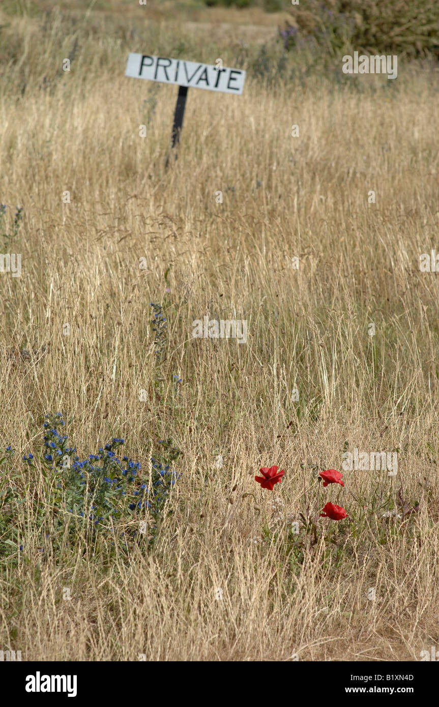 Private sign in a wild meadow in Dungeness, Kent Stock Photo - Alamy