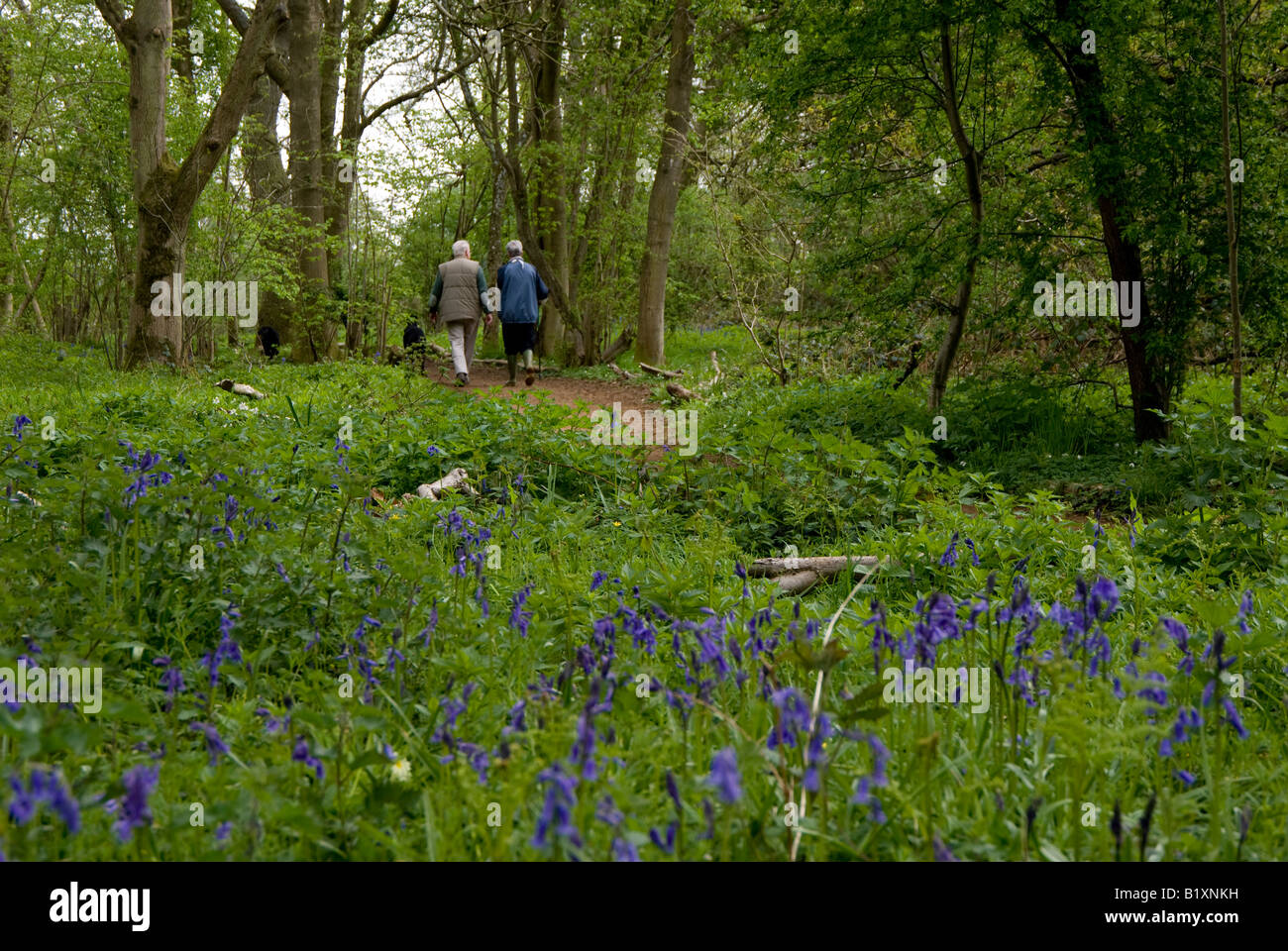 Stoke lyne hi-res stock photography and images - Alamy