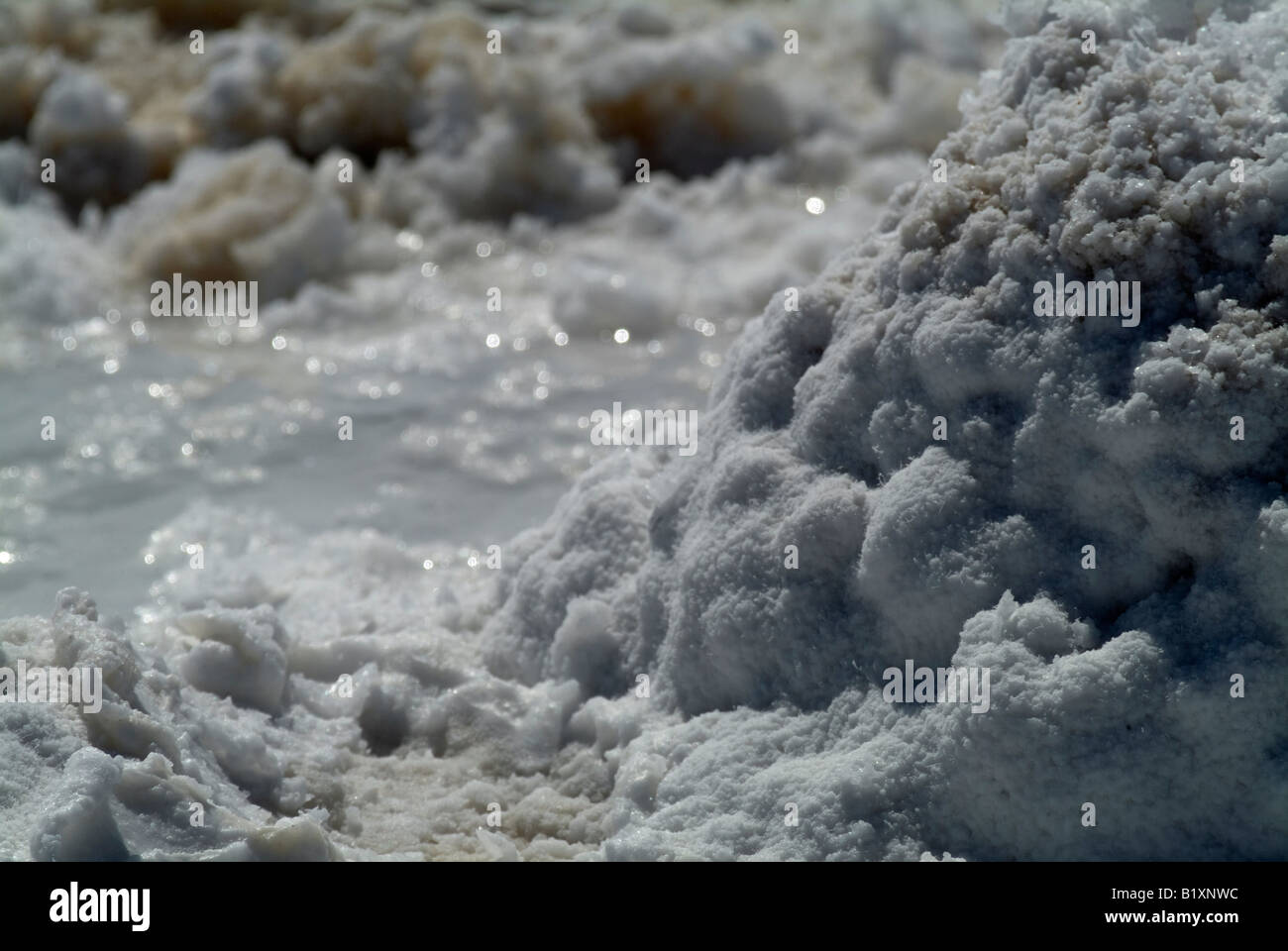 Experience yellowstone hi-res stock photography and images - Alamy