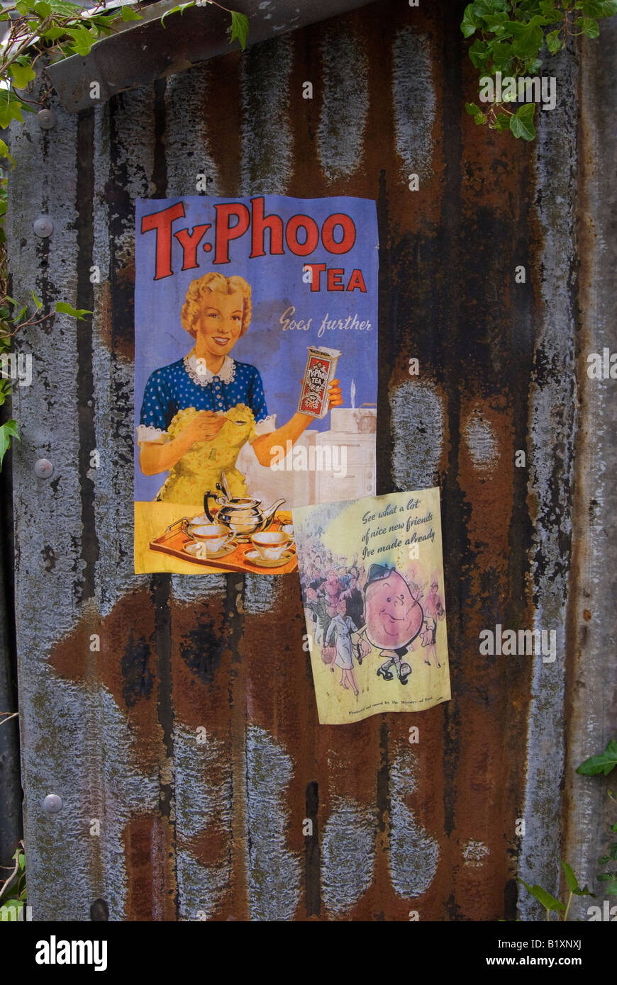 Classic Typhoo Tea advertising poster stuck to coorugated steel ...