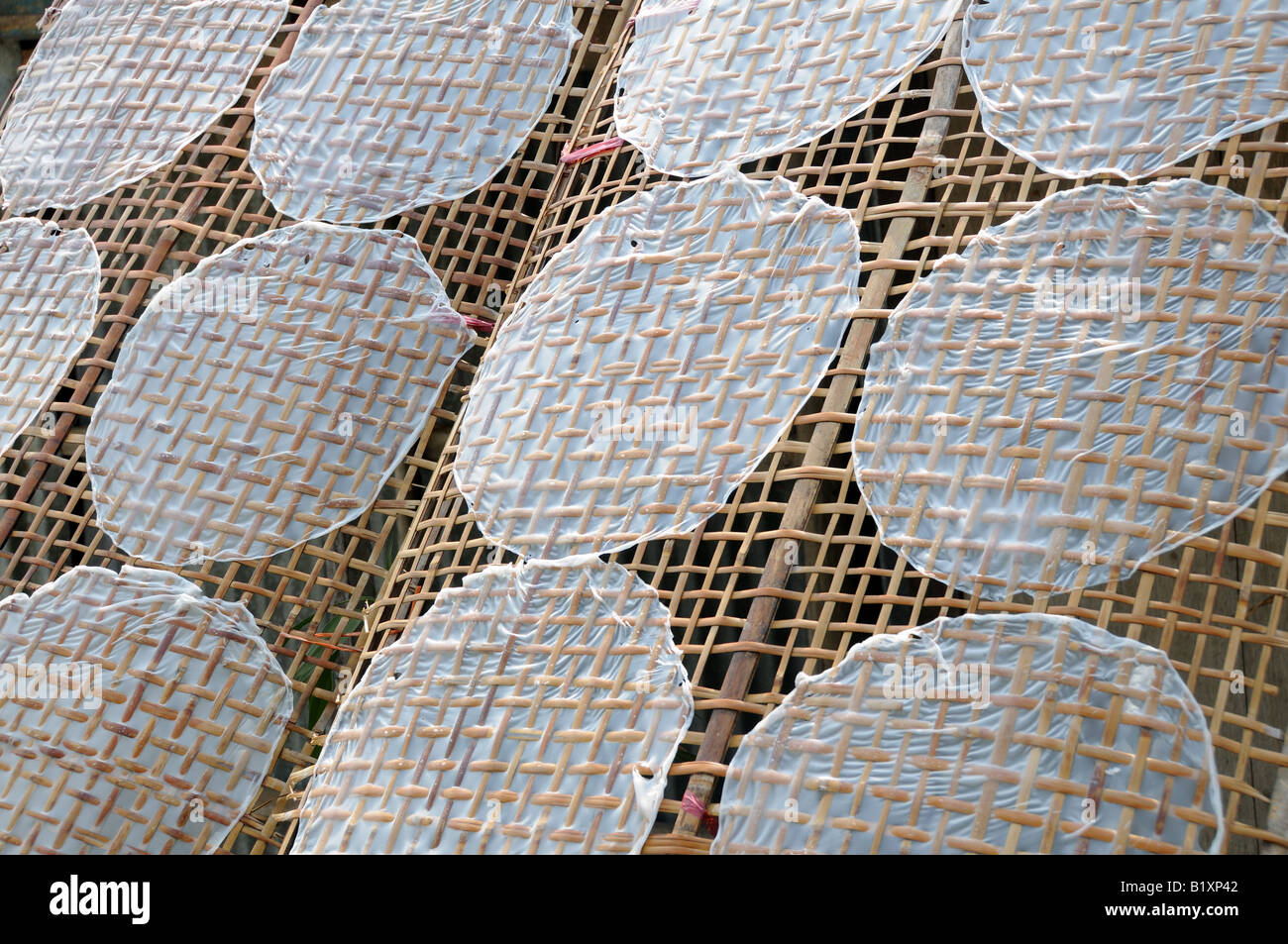 Rice paper drying on bamboo frames Vietnam Stock Photo - Alamy
