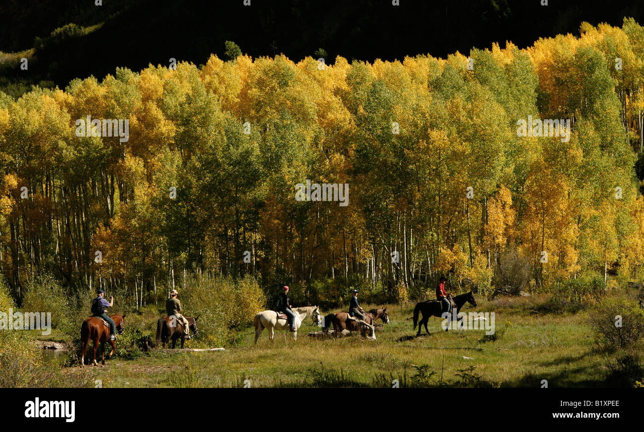 Denver colorado cowboy hi-res stock photography and images - Alamy