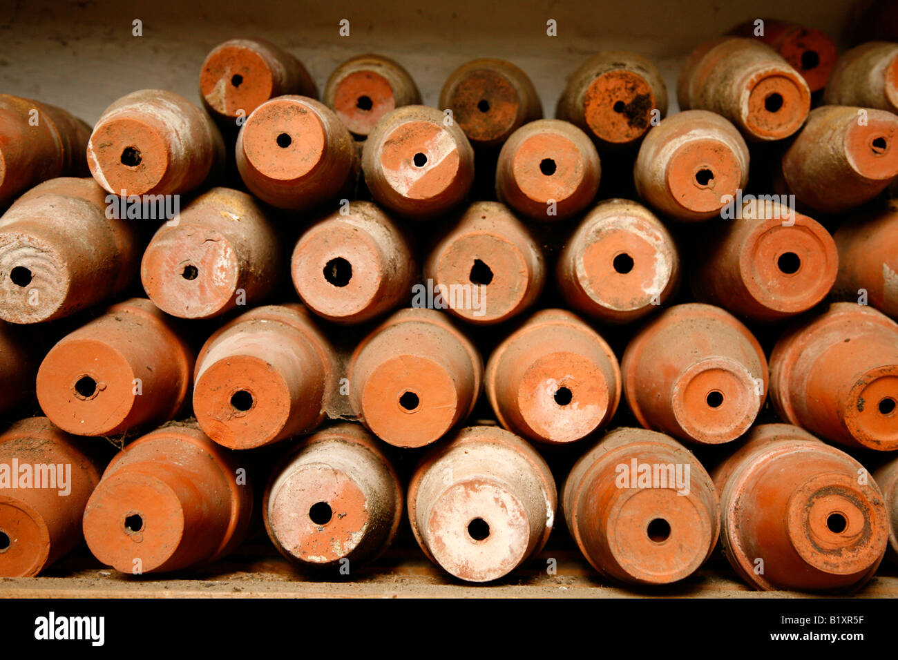 Bottom of plant pot hi-res stock photography and images - Alamy